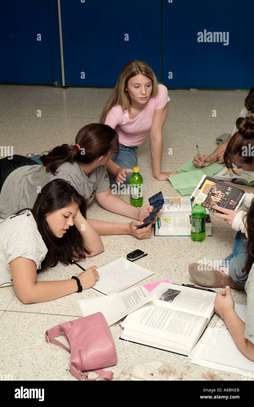 Group of female high school students study together in a hallway during ...