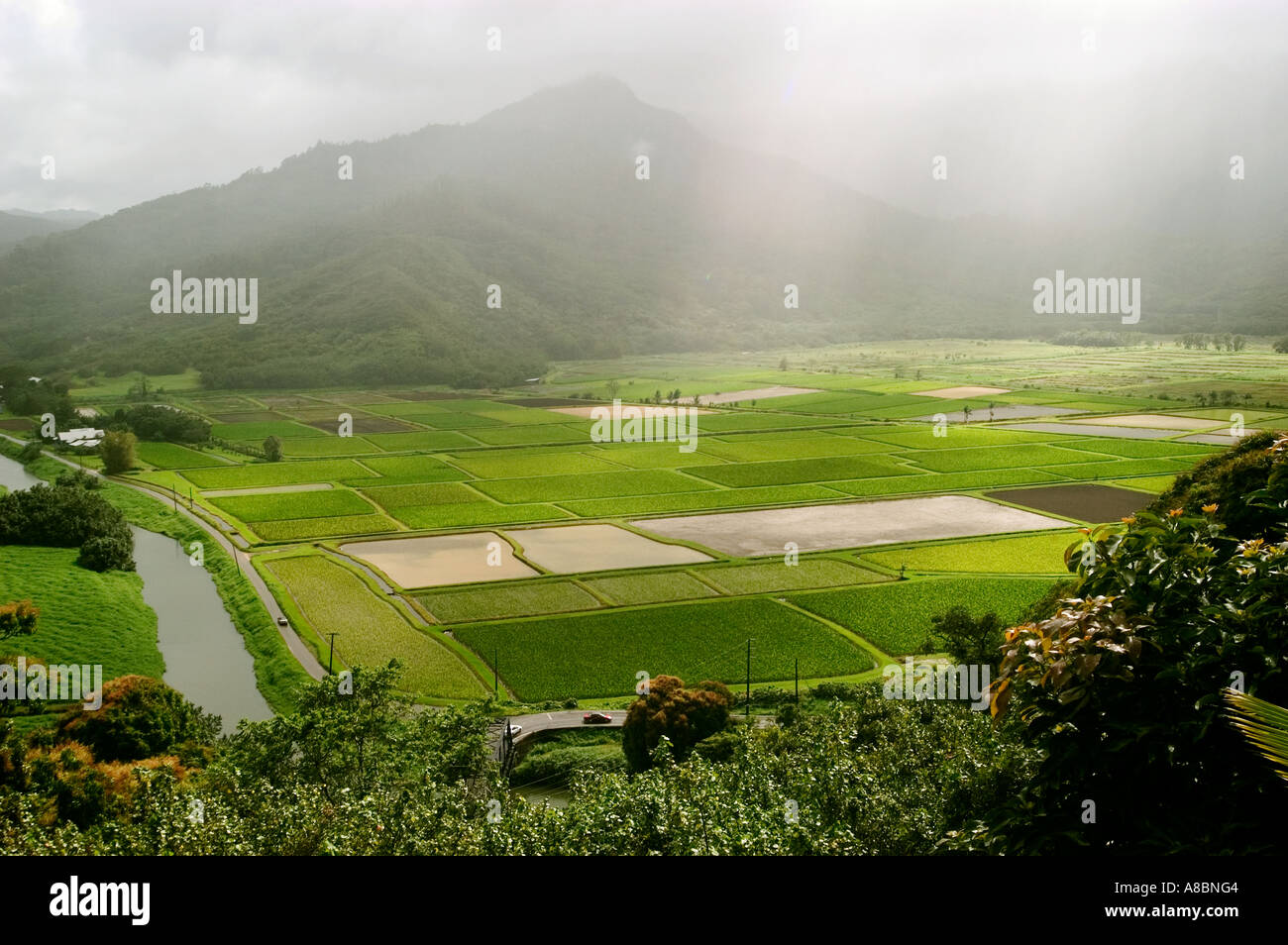 Hanalei valley overlook hi-res stock photography and images - Alamy