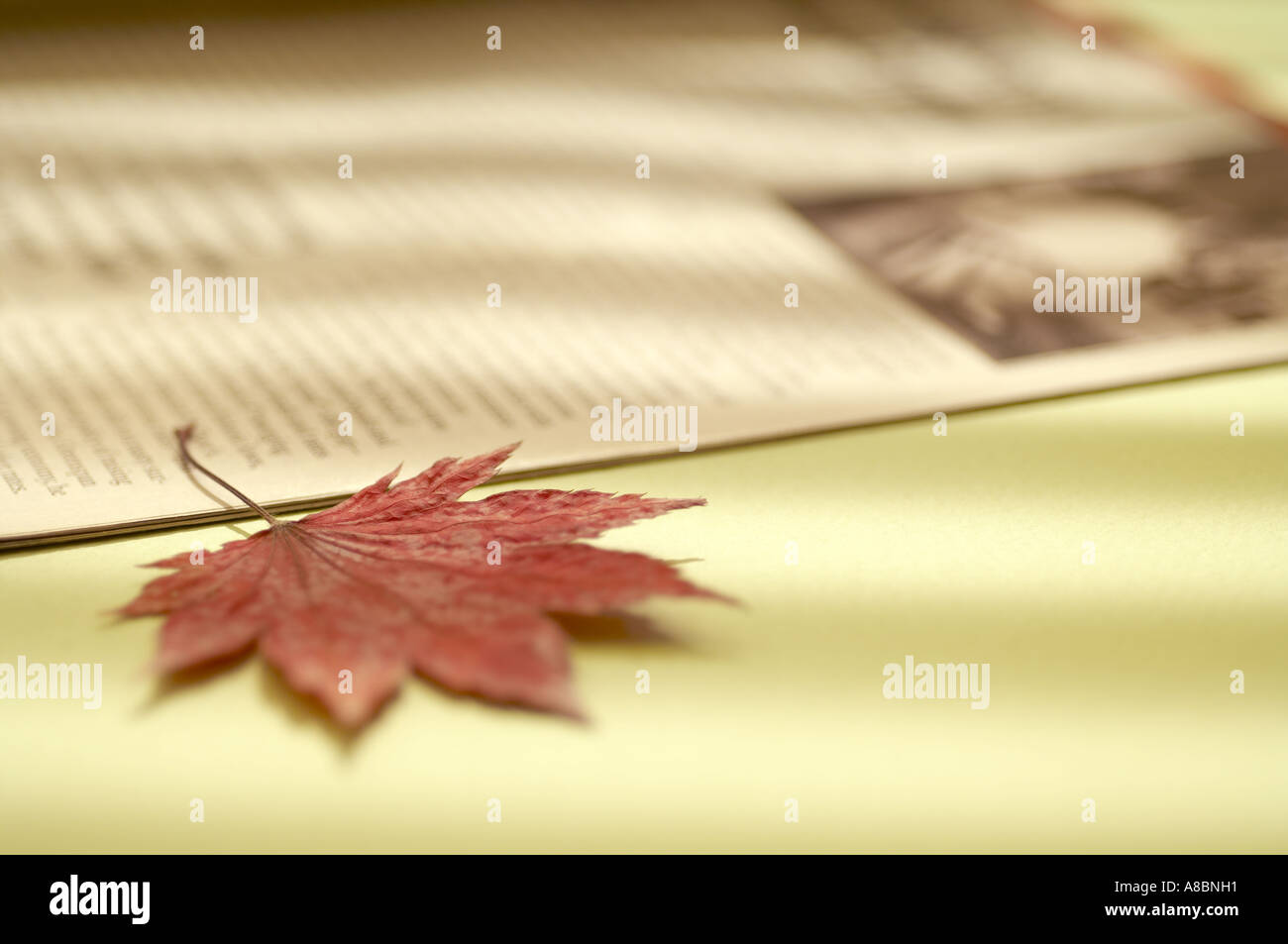 colored leaves on the book Stock Photo - Alamy