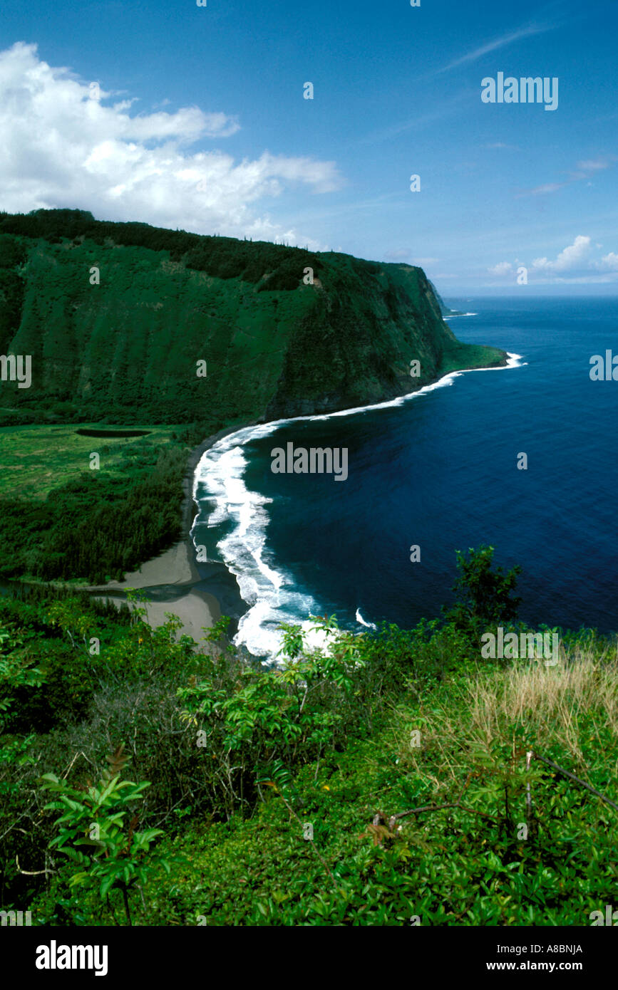 Hawaii Hilo At the Waipio Valley Overlook Stock Photo - Alamy