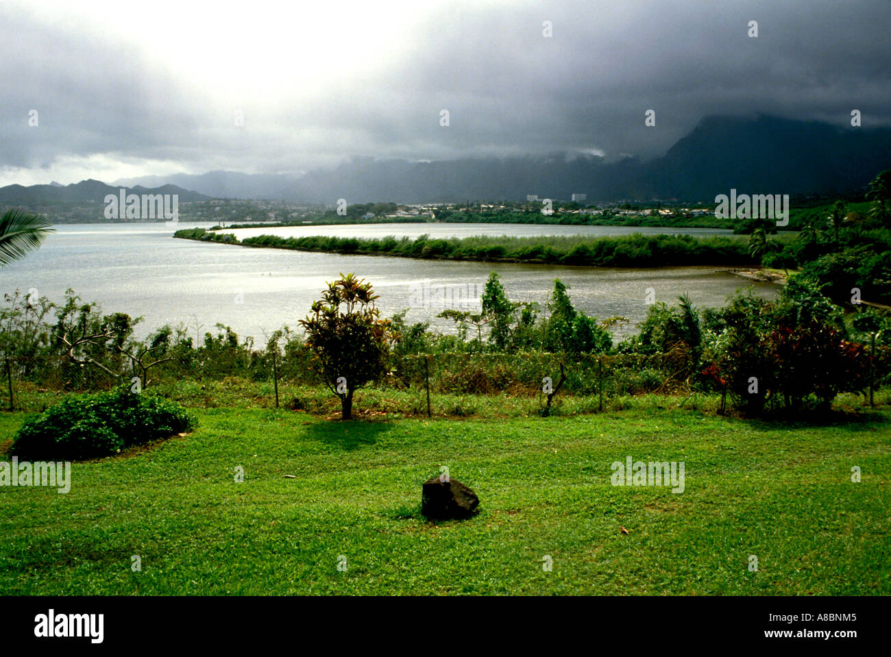 Ancient hawaii fish hi-res stock photography and images - Alamy