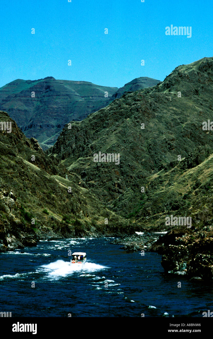 ID Idaho Hell's Canyon Snake River scenic and jet boat Stock Photo - Alamy