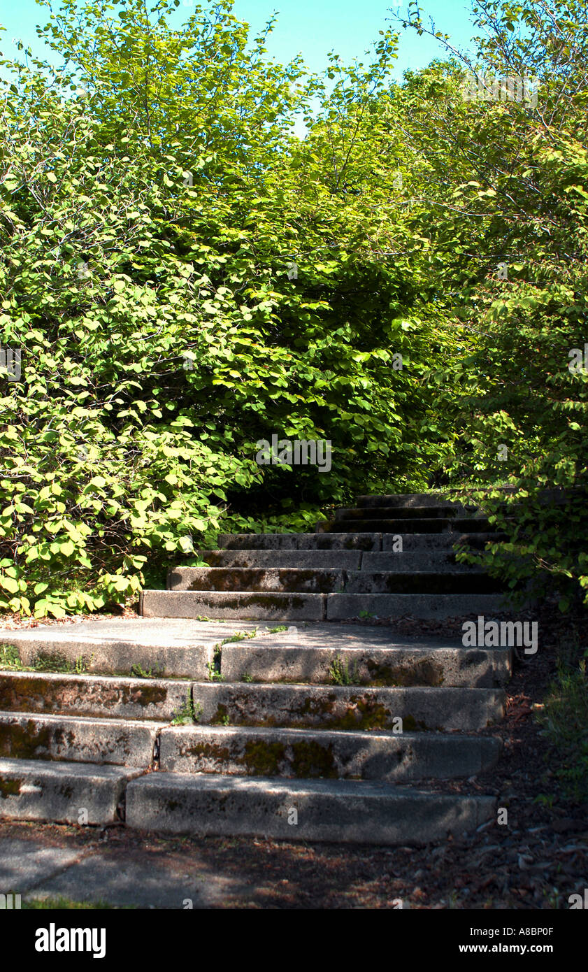 steps in highland park Stock Photo - Alamy