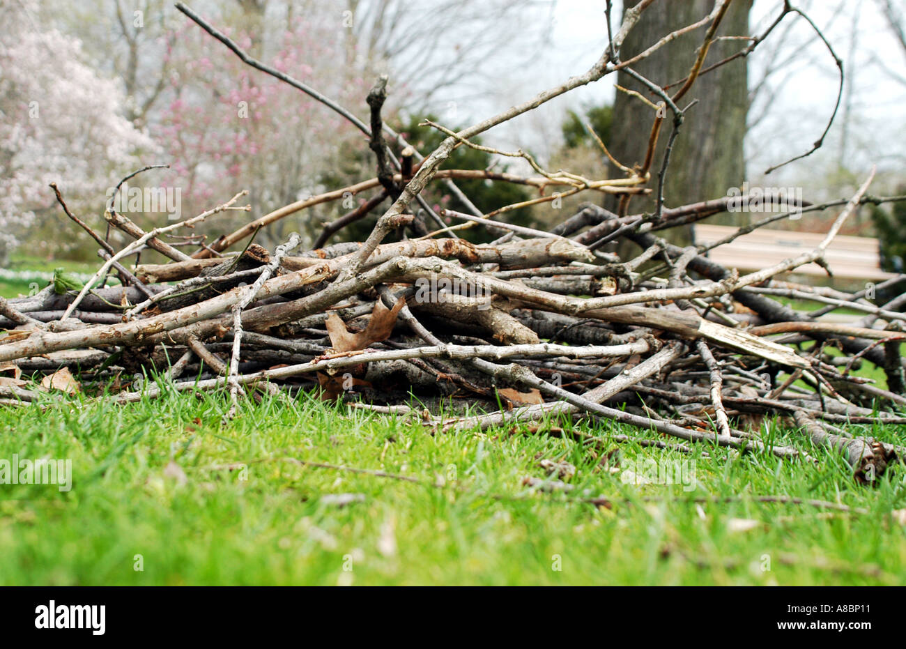 sticks on the ground Stock Photo - Alamy