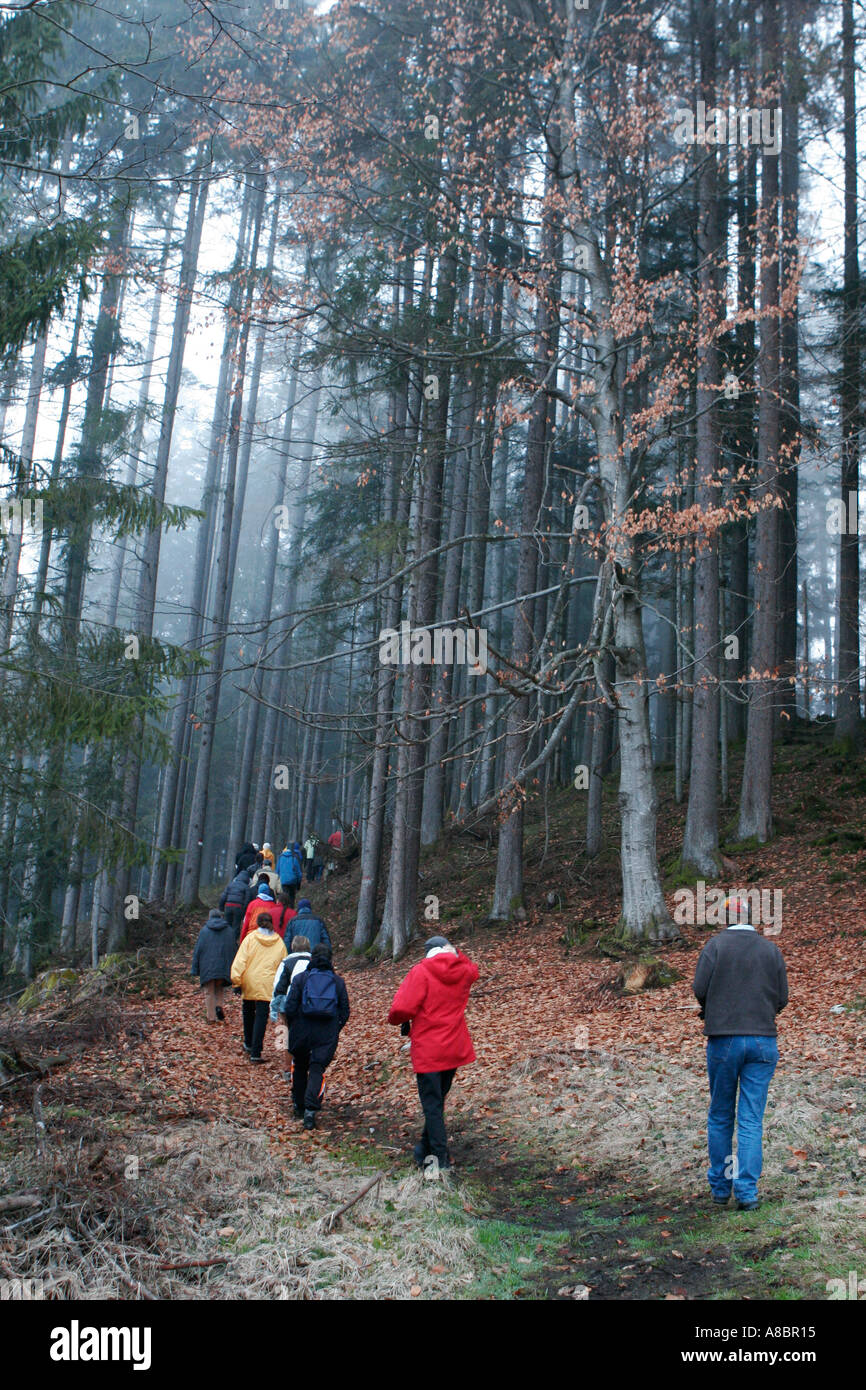 people trekking in forest Stock Photo - Alamy