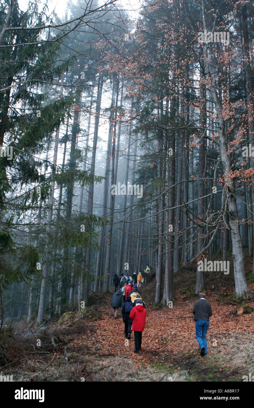 Group of people in the forest hi-res stock photography and images - Alamy