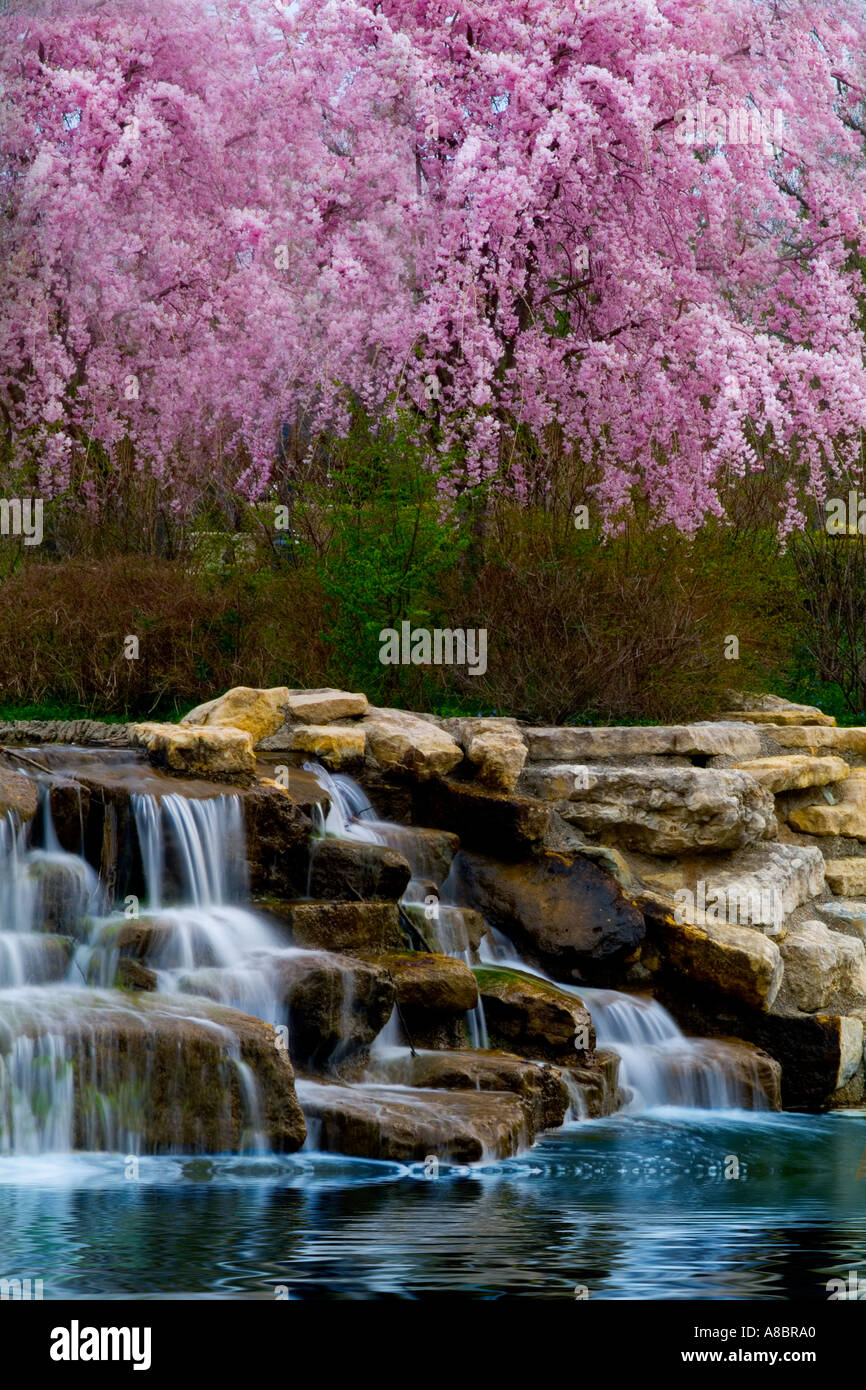 Waterfall motion shot cascading over rocks into blue pool with pink ...