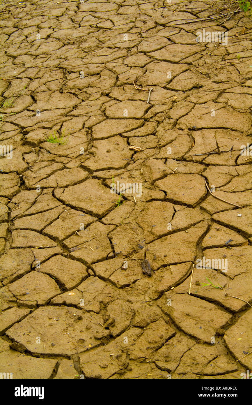Field of dry and cracked dirt on deserted and abandoned farmland Stock ...