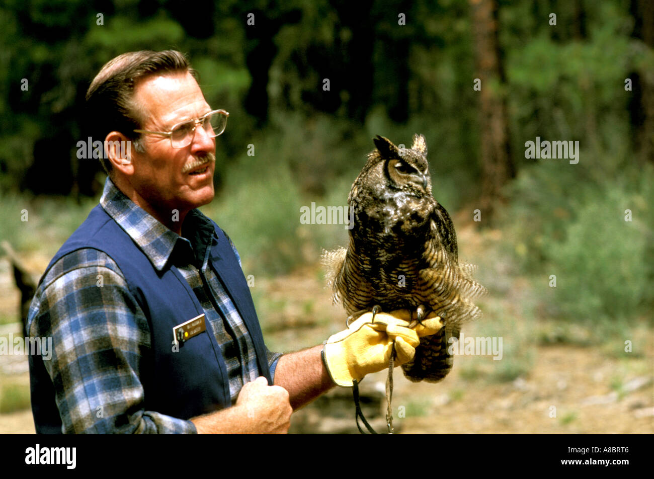 Oregon Bend High Desert Museum bird of prey owl handler Stock Photo - Alamy