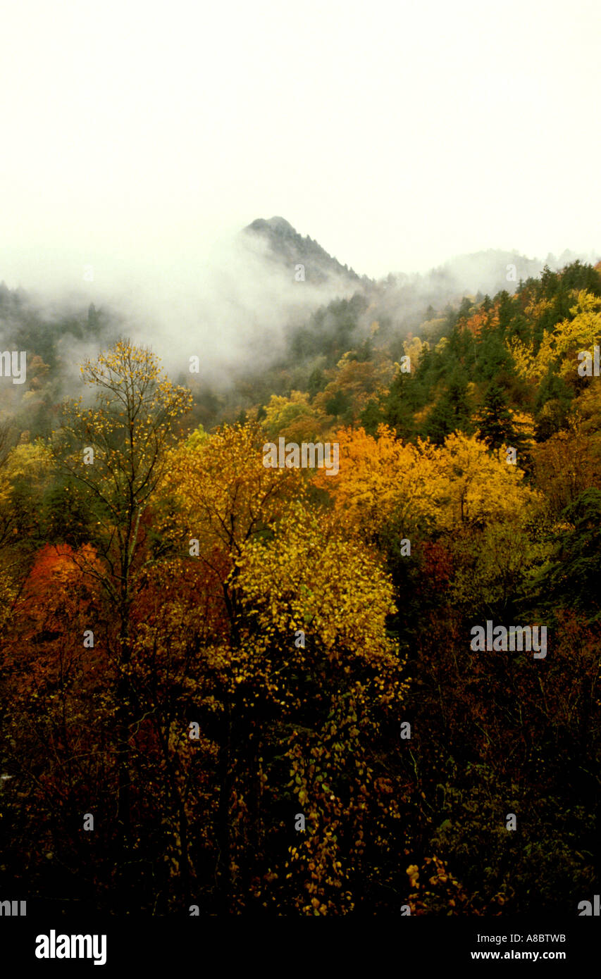 TN Great Smoky Mountains National Park Newfound Gap Fall color ...