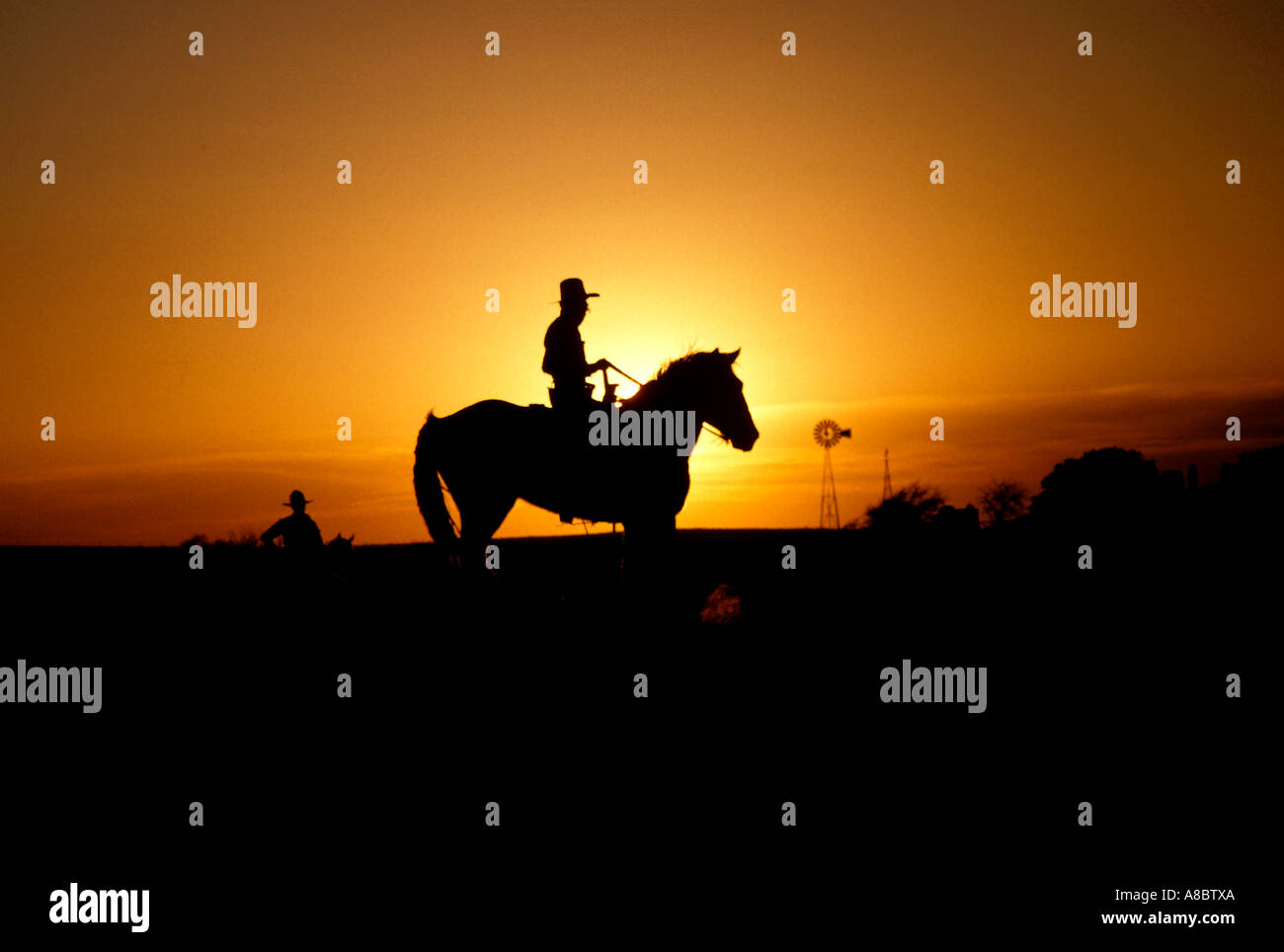 Fort worth cowboy hi-res stock photography and images - Alamy