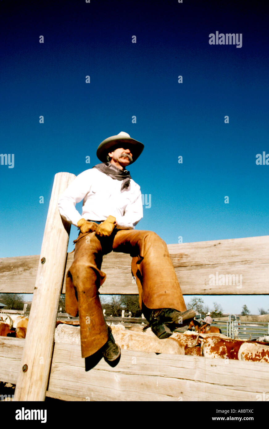 Texas Fort Worth Cowboy Stock Photo - Alamy