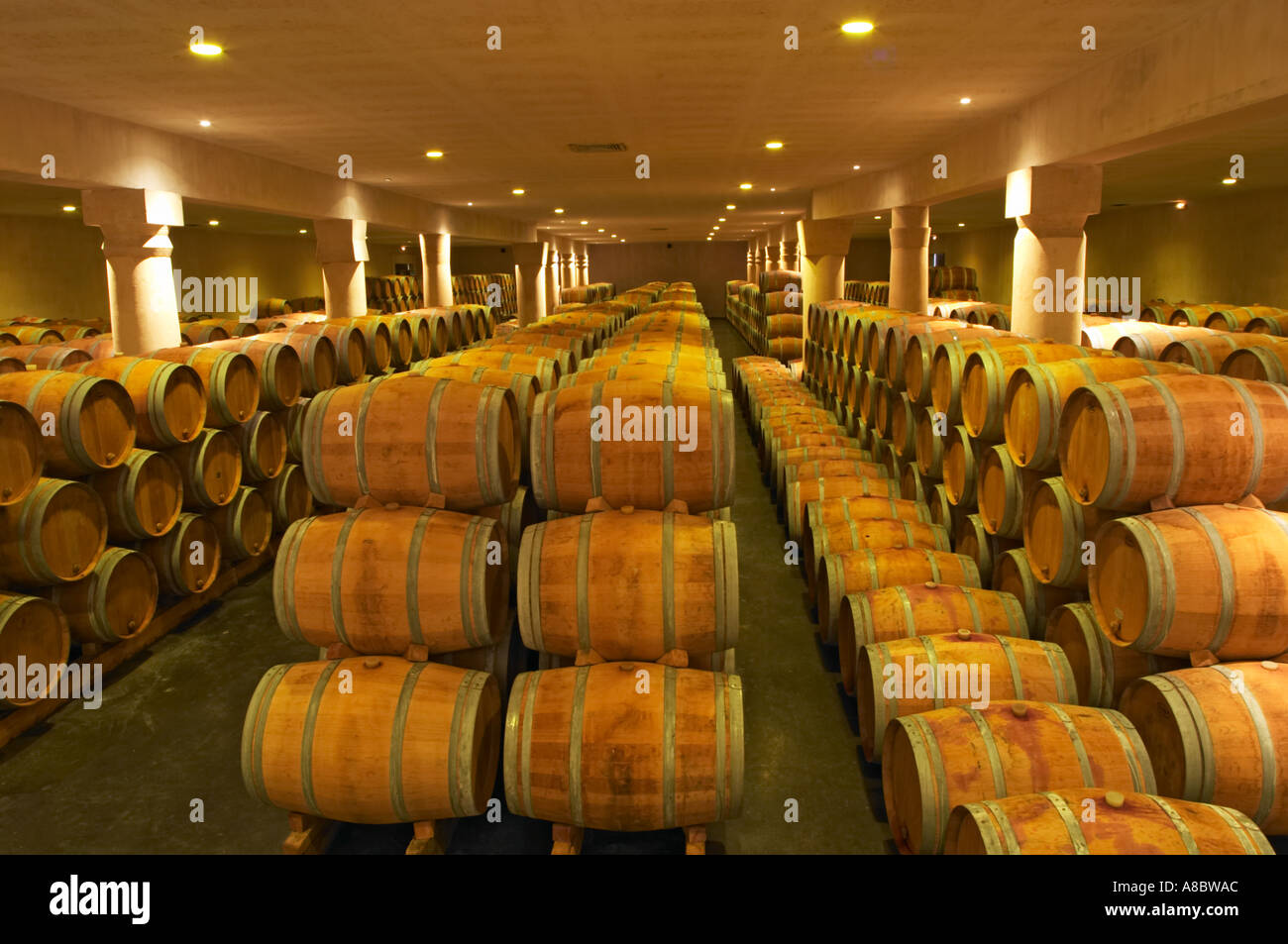 The winery, barrel aging cellar - Chateau Baron Pichon Longueville ...