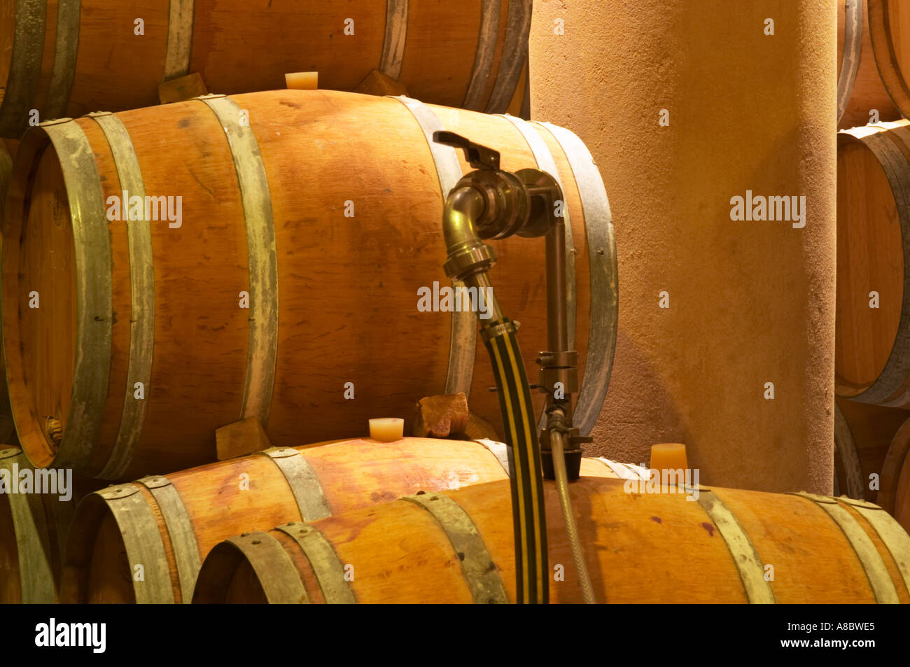 Wine being pumped over from barrel to barrel - Chateau Baron Pichon ...