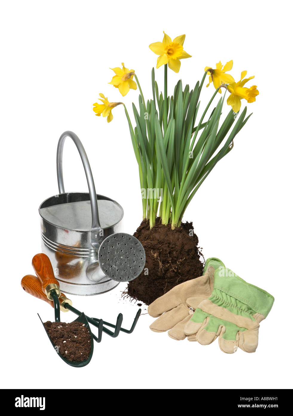 Things tools Cut Out Stock Images & Pictures - Alamy