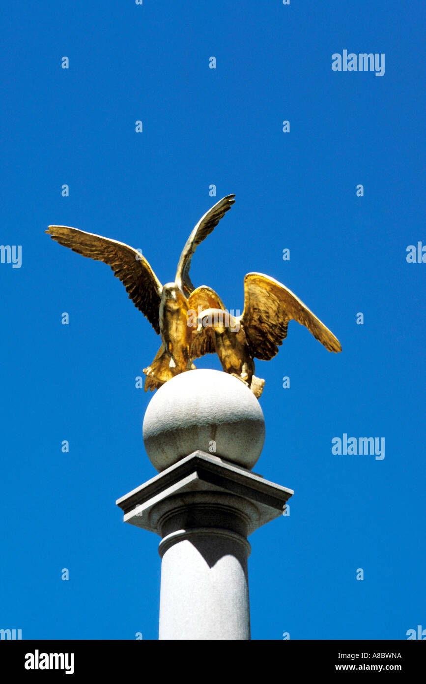 American sea gull hi-res stock photography and images - Alamy