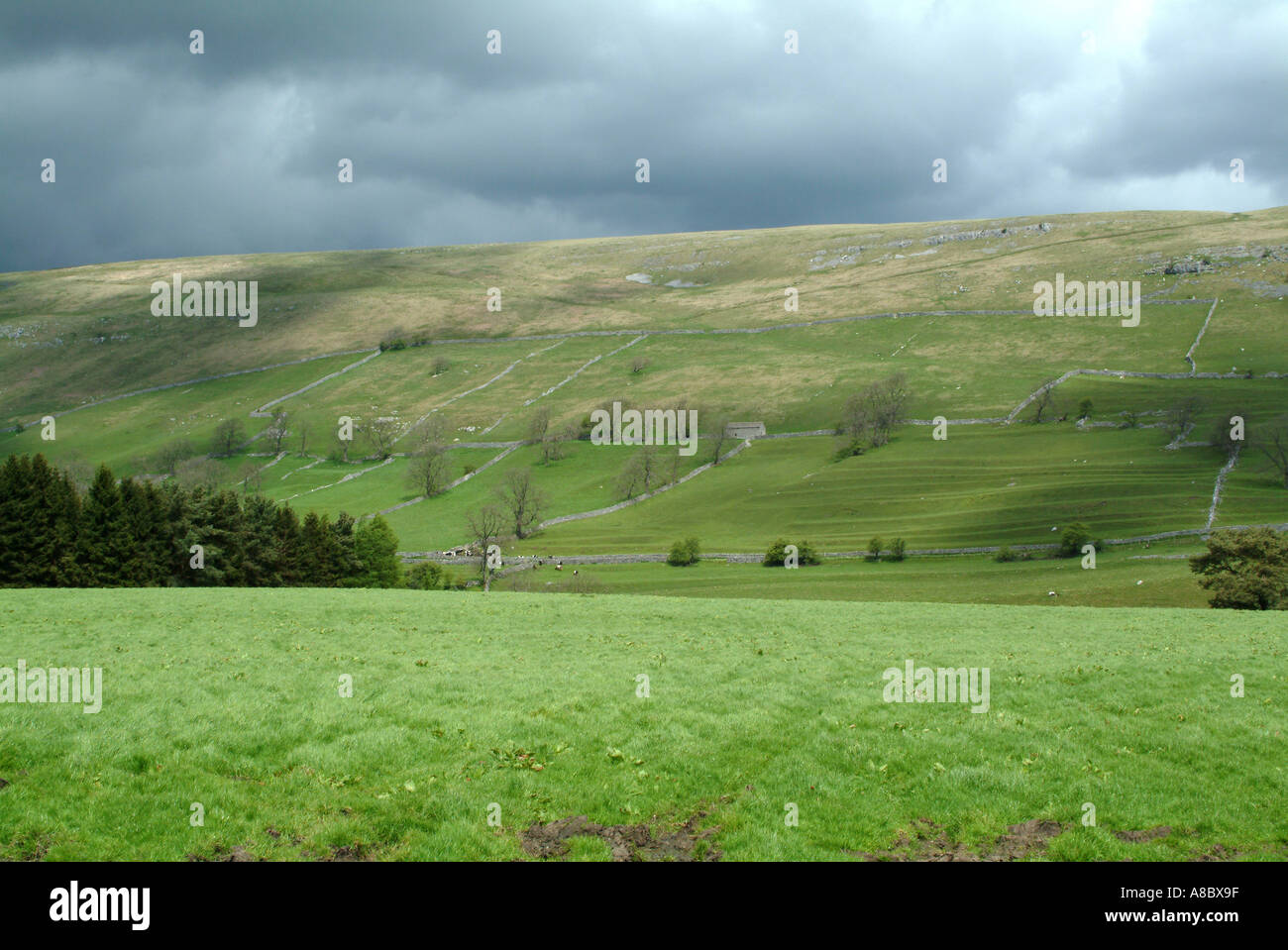 Hawkswick farm hi-res stock photography and images - Alamy