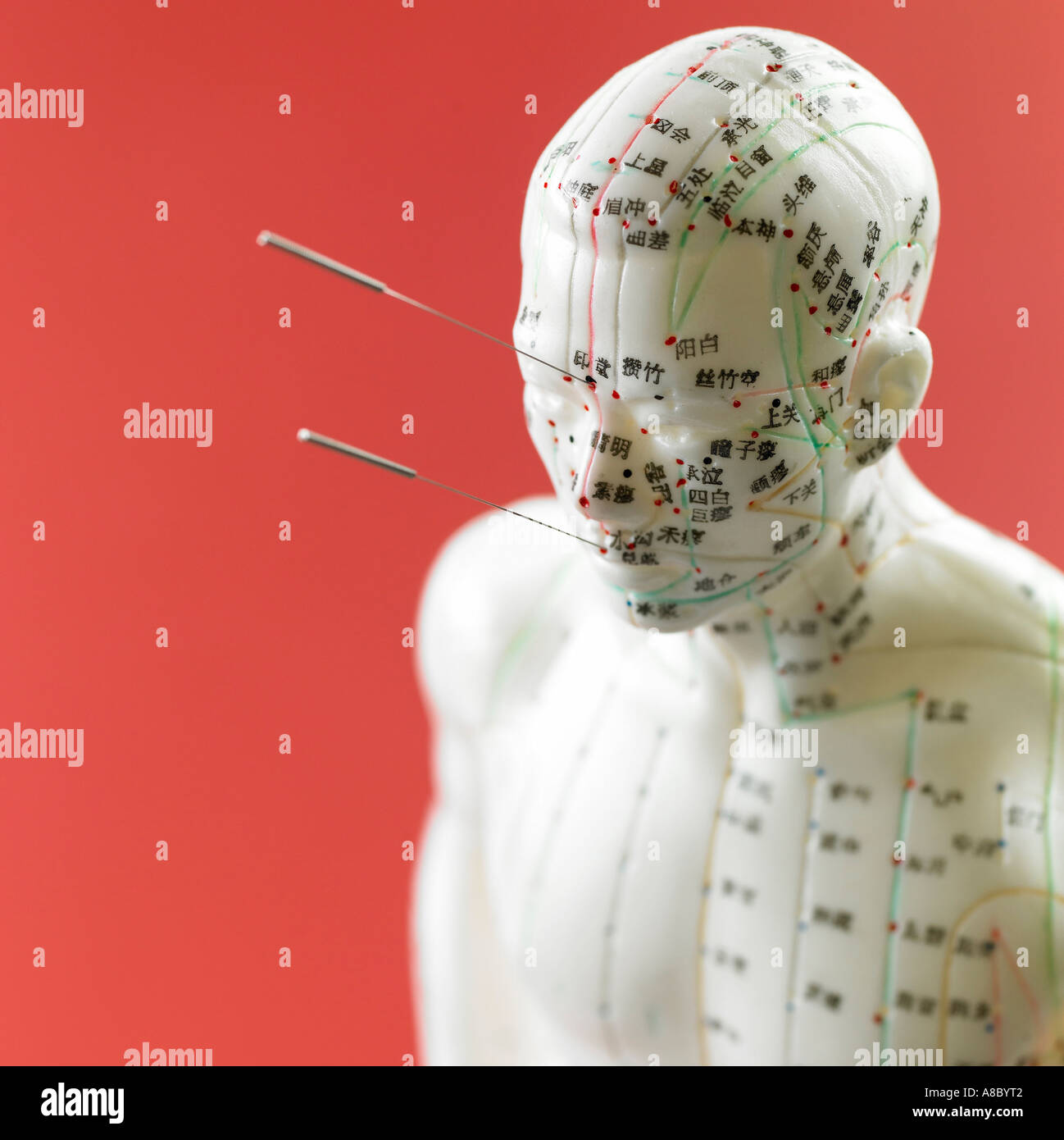 Anatomical model for acupuncture Stock Photo - Alamy