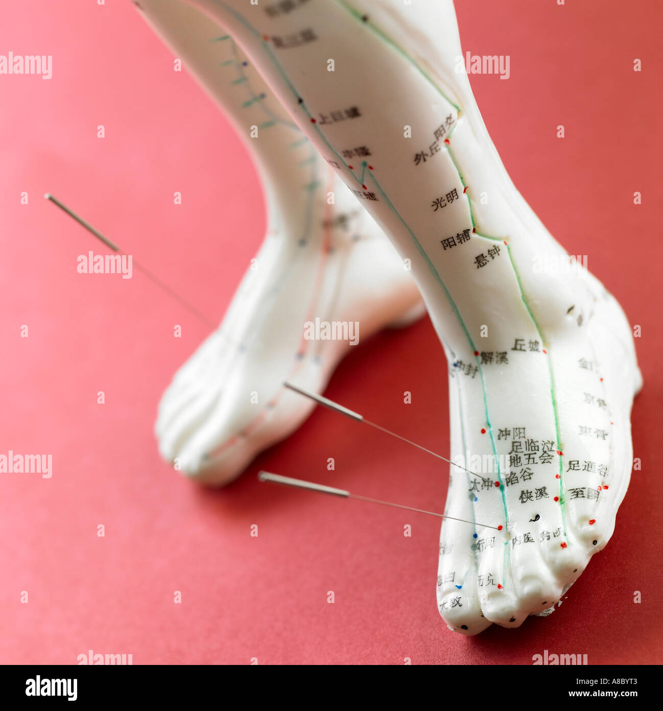 Human acupuncture point model hi-res stock photography and images - Alamy