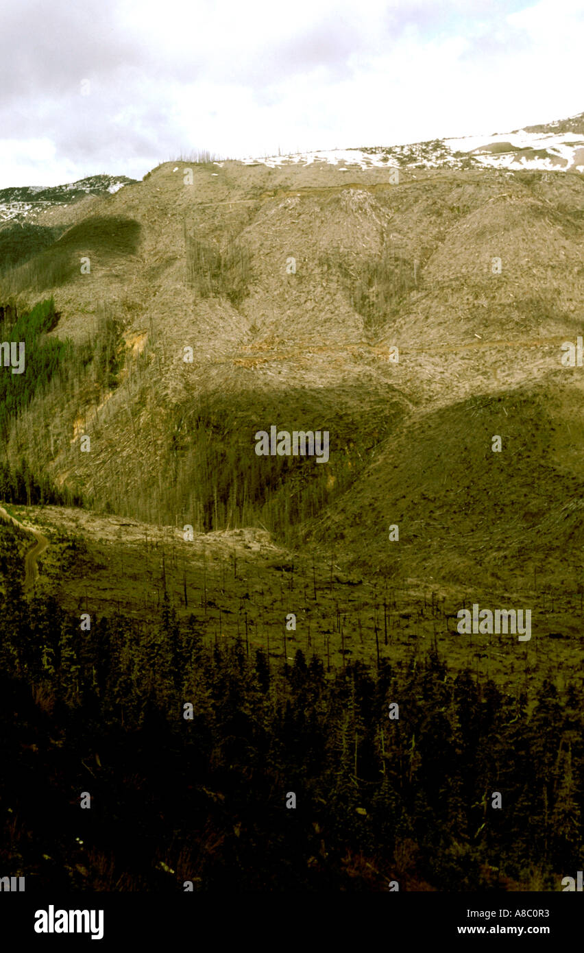 Washington Volcano devastation from Mt St Helens Clearwater Stock Photo ...
