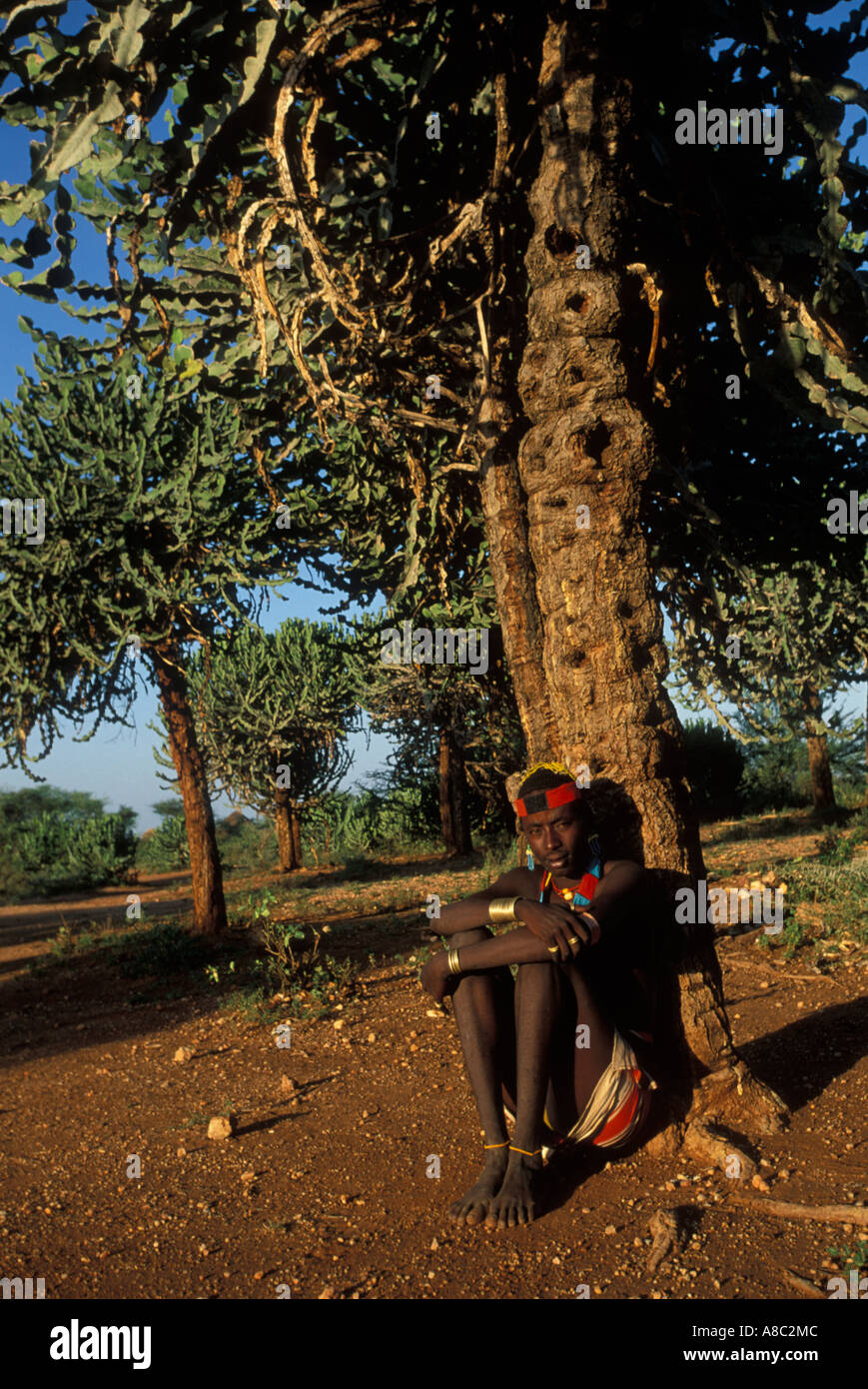 Hamer man with euphorbia trees , Turmi , South Omo valley , Ethiopia ...