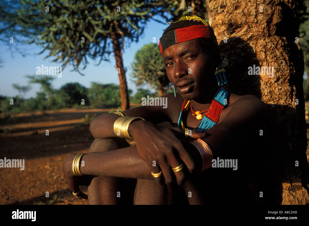 Hamer man with euphorbia trees , Turmi , South Omo valley , Ethiopia ...