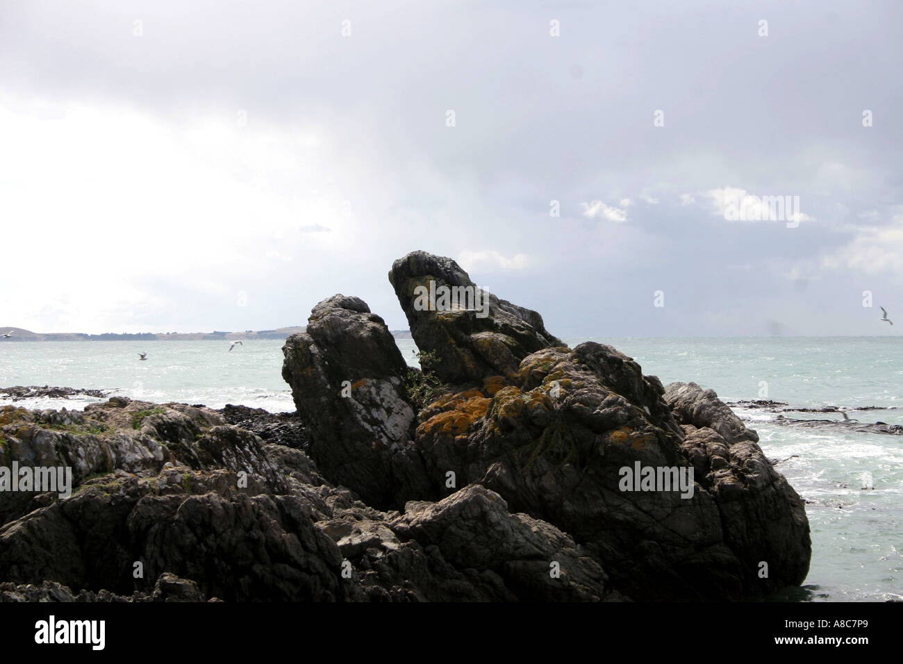 Marlborough new zealand cloudy bay hi-res stock photography and images ...