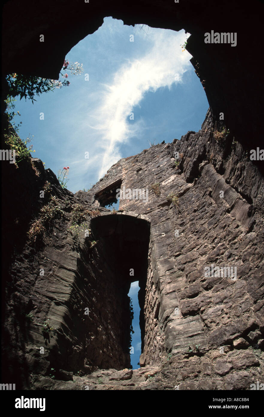 Looking up river wye hi-res stock photography and images - Alamy