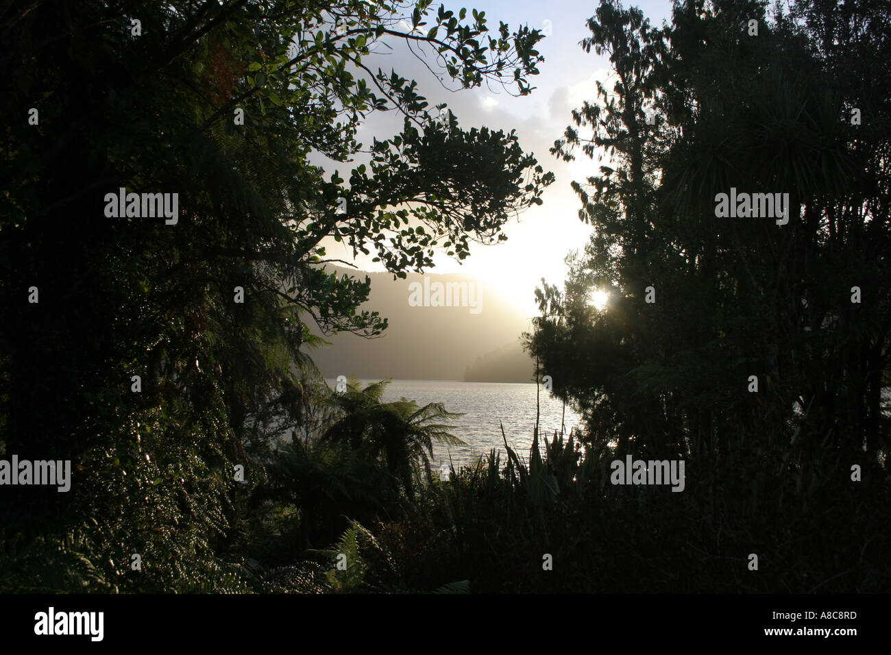 Paringa hi-res stock photography and images - Alamy