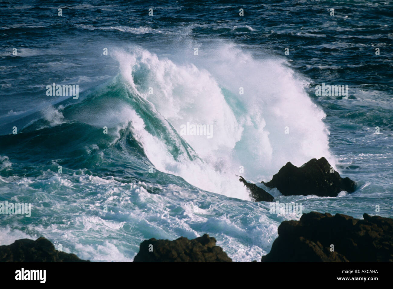Surf breaking on rocks coastline Atlantic Ocean Canada Stock Photo - Alamy