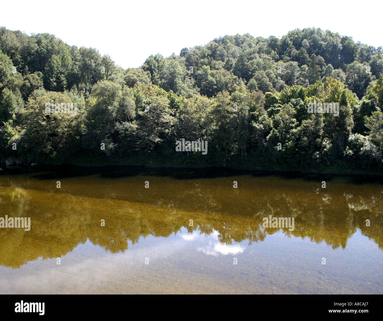 Ade 2662 New Zealand,South Island, Inangahua River Stock Photo - Alamy