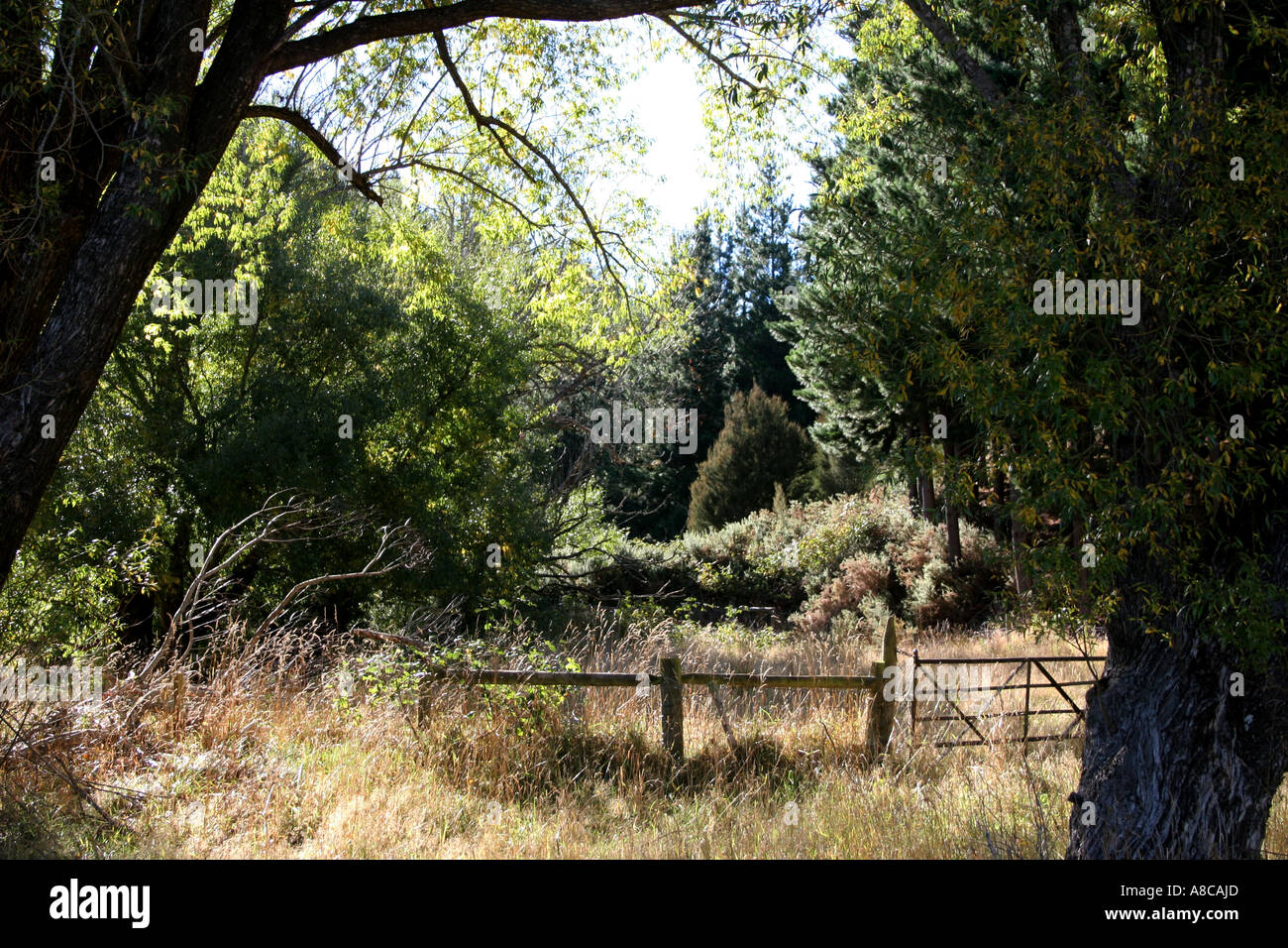 Mt lyford new zealand hi-res stock photography and images - Alamy