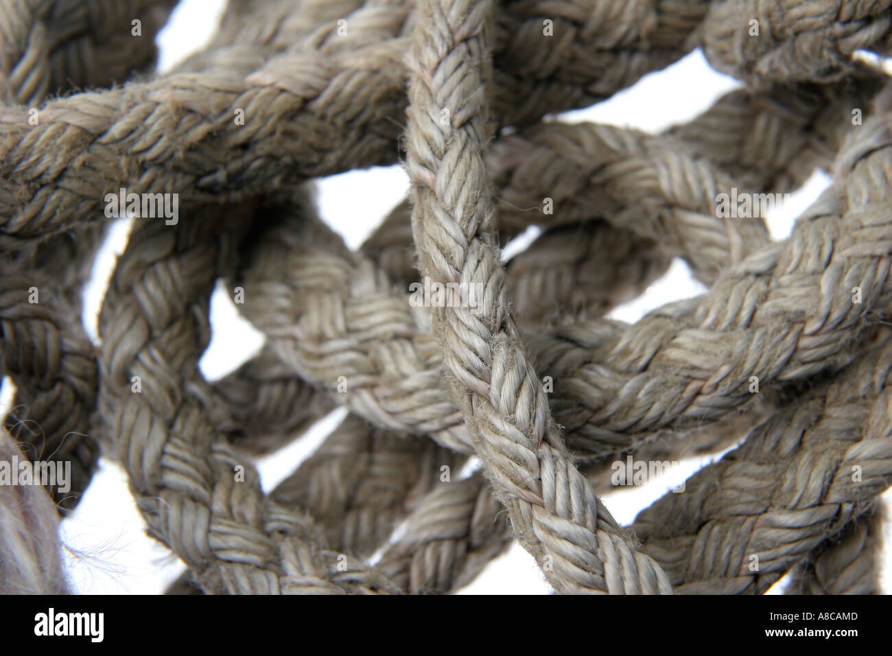 Studio close up of a pile of thick rope against a white background ...
