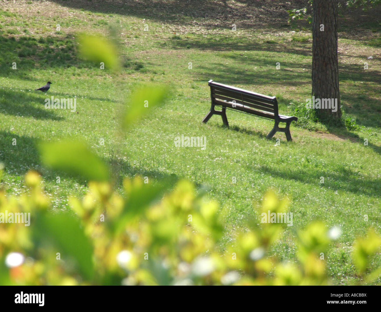 one bench in park Stock Photo - Alamy