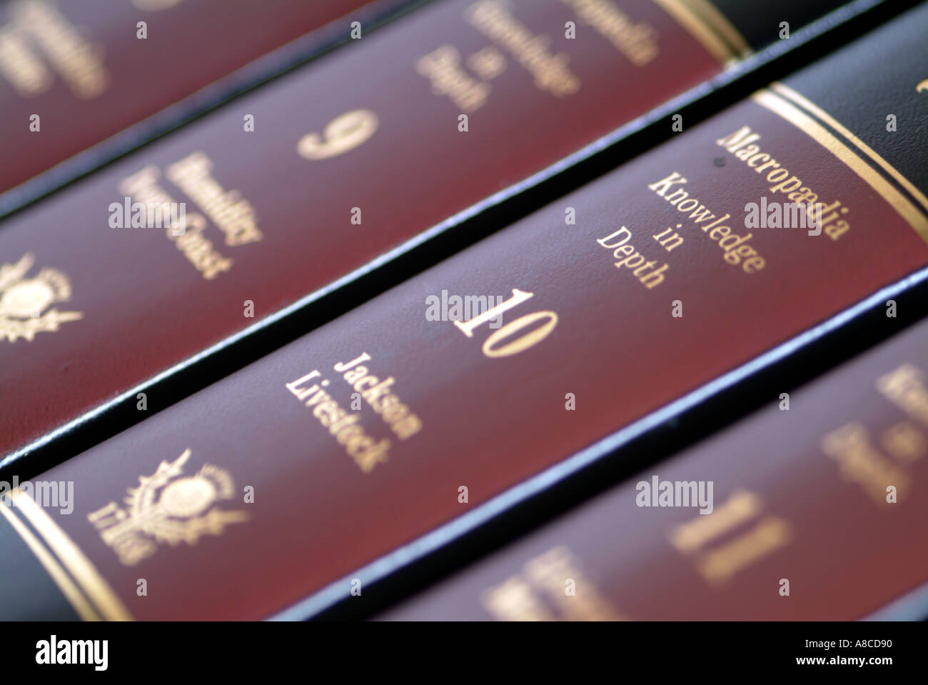 Volumes of an encyclopedia Stock Photo - Alamy