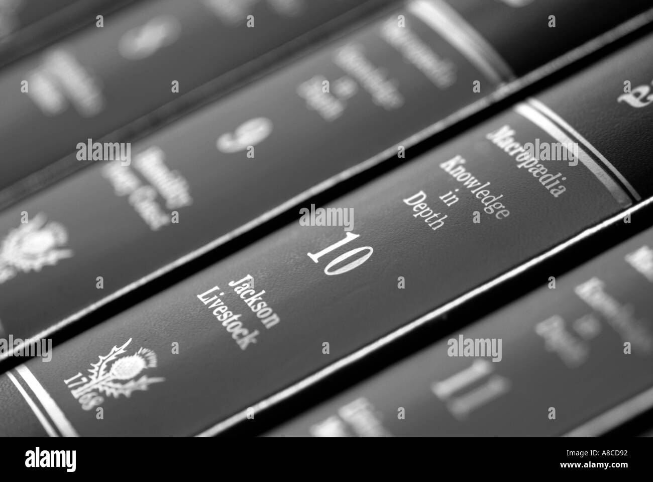 Volumes of an encyclopedia Stock Photo - Alamy