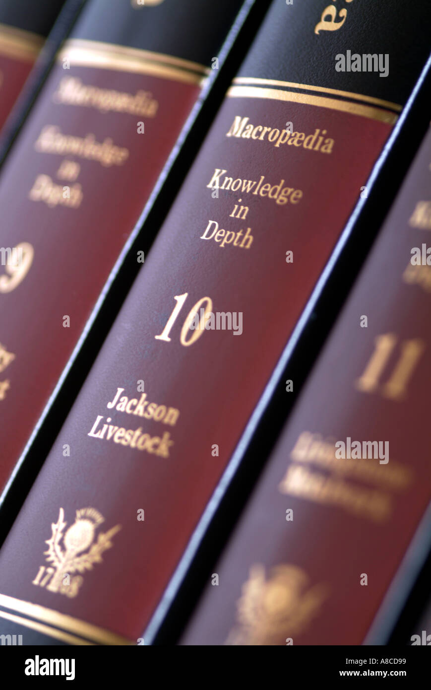 Volumes of an encyclopedia Stock Photo - Alamy