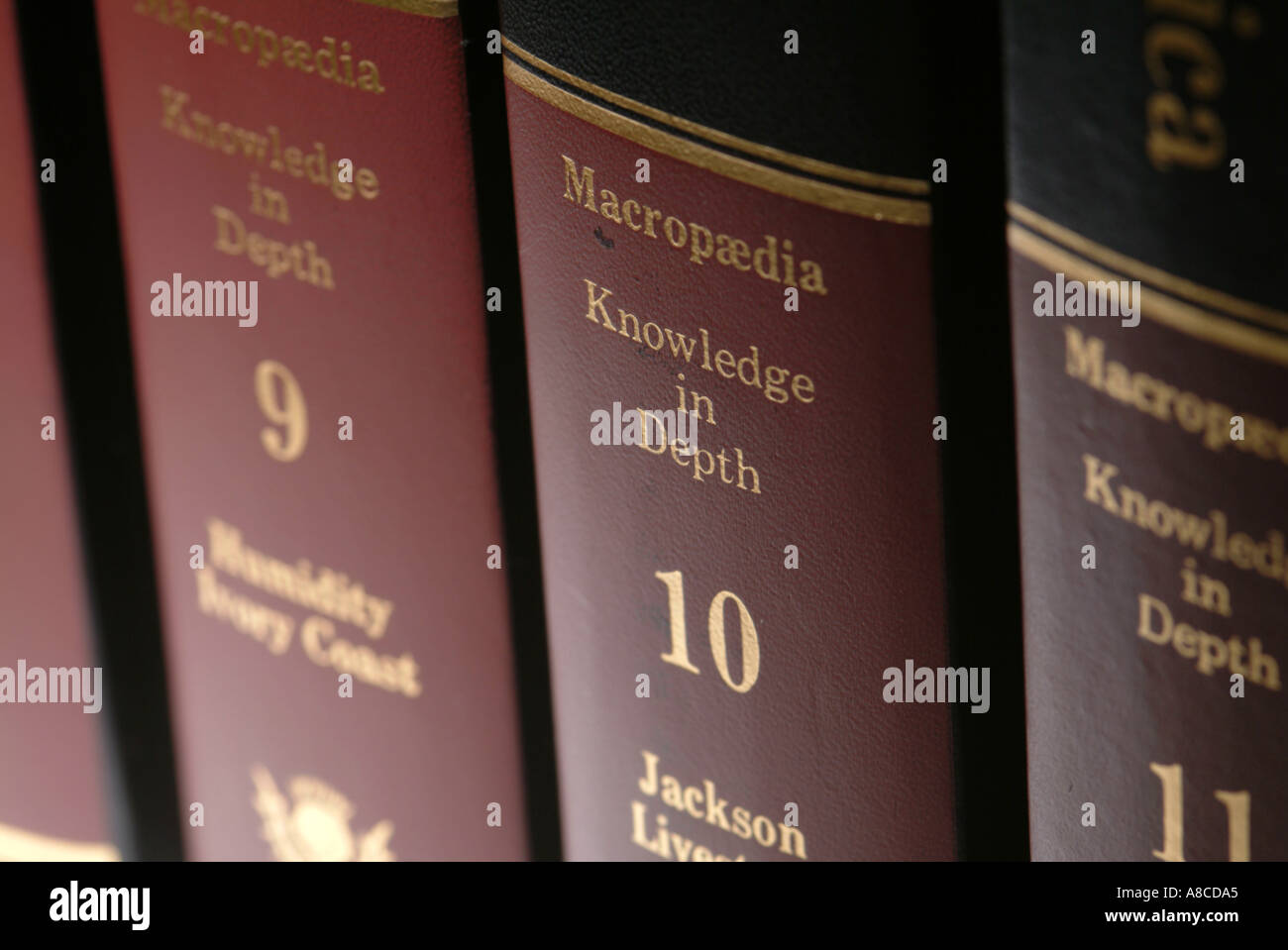 Volumes of an encyclopedia Stock Photo - Alamy