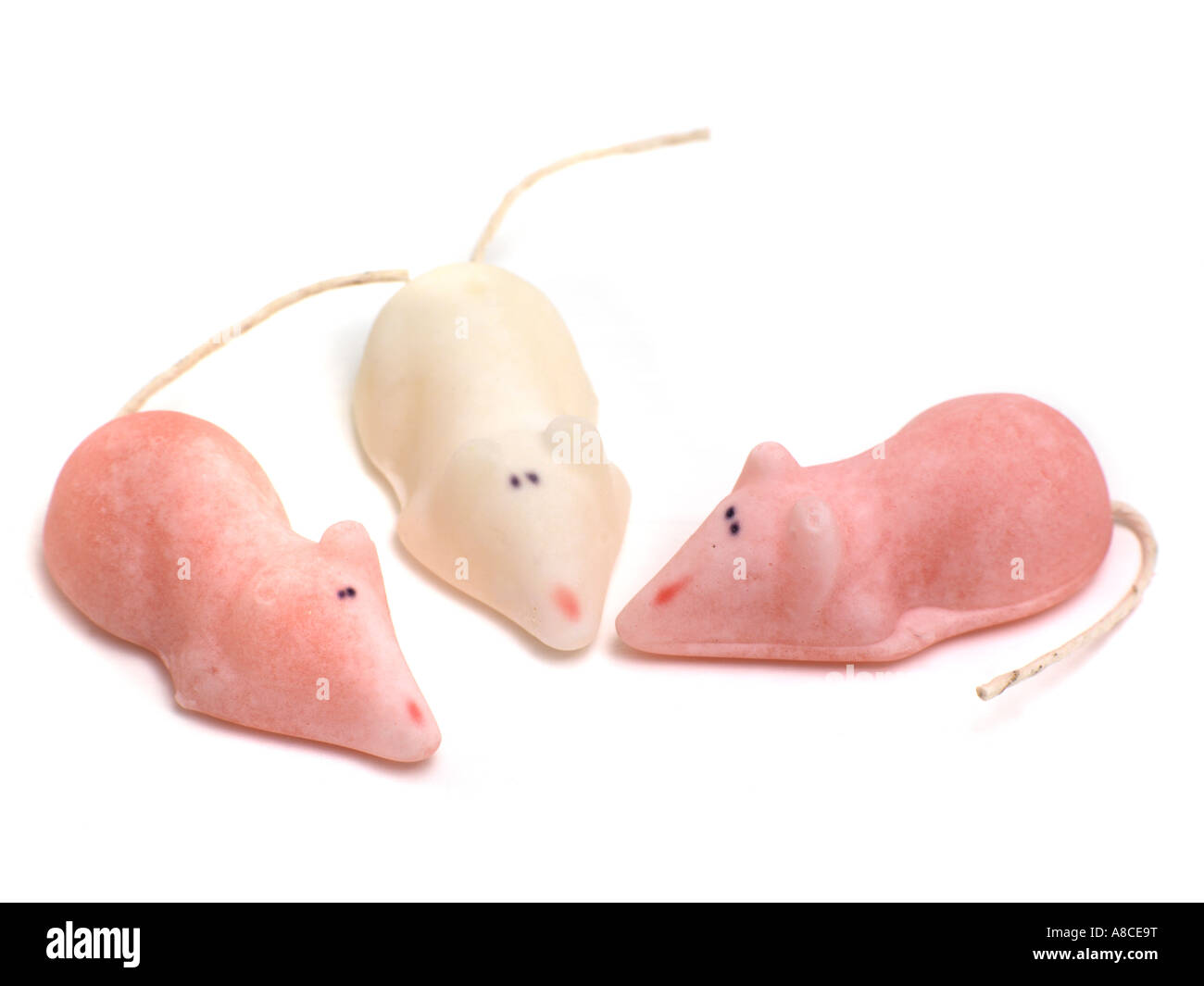 Pink sugar mouse hi-res stock photography and images - Alamy