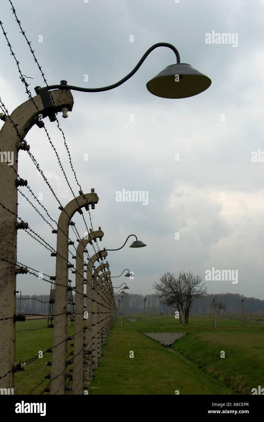 Barbed Wire Perimeter Fence Auschwitz Stock Photos & Barbed Wire ...