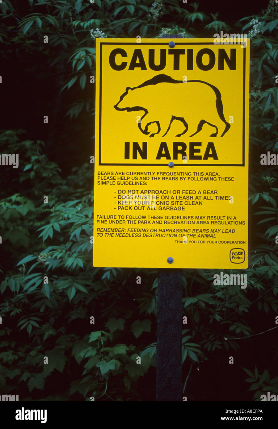 Bear warning sign. Mount Seymour Provincial Park, BC Canada Stock Photo ...