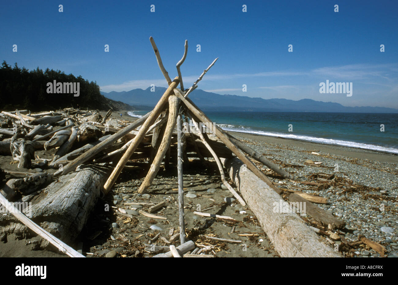 Driftwood tipi structure on Dungeness beach, Olympic peninsula ...