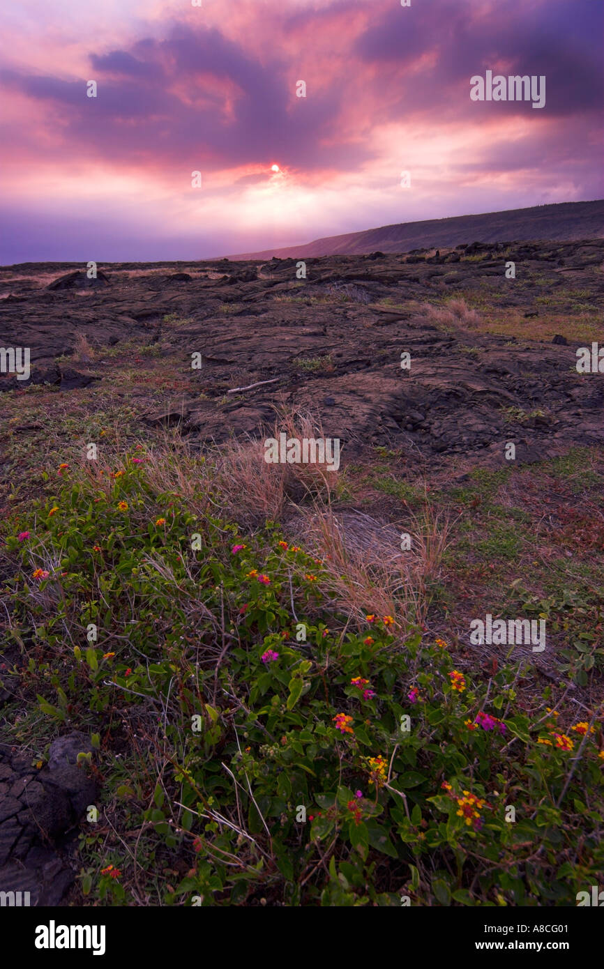 Death of pele hi-res stock photography and images - Alamy