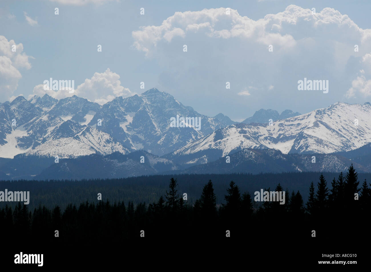 A panorama of Polish tatra mountains from Male Ciche village Stock ...