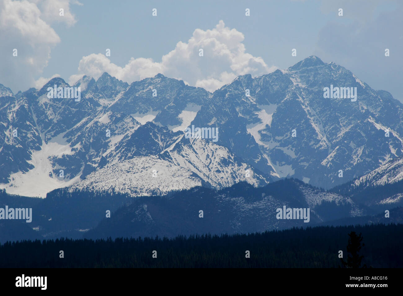Male Ciche High Resolution Stock Photography and Images - Alamy