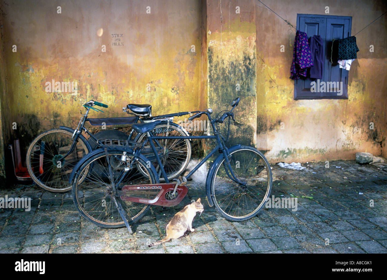 Two bikes and a cat in a courtyard, Fort Cochin, Kerala India Stock ...