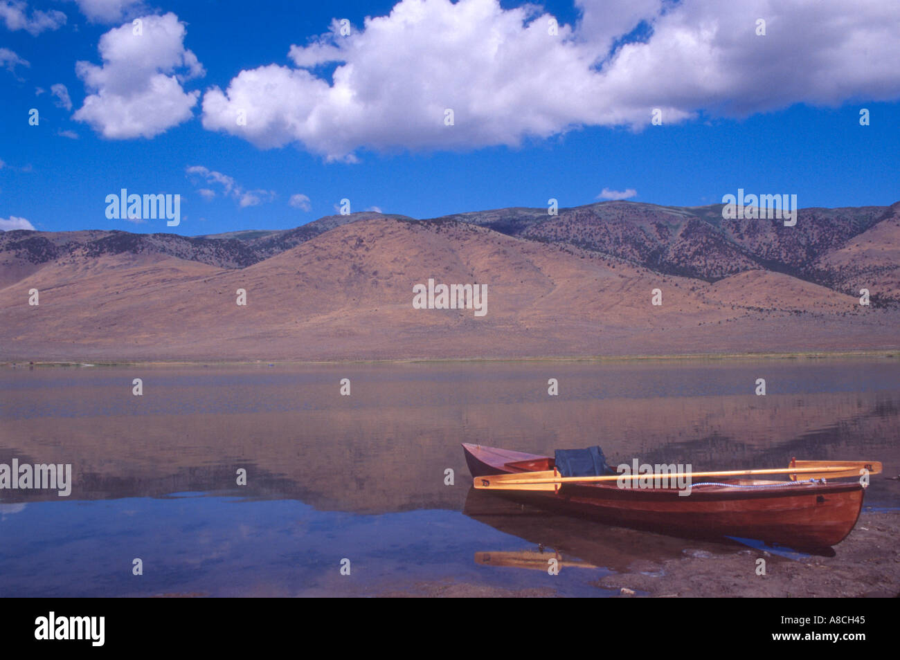 wooden wood decked double paddle canoe 19th Century design Mann Lake ...