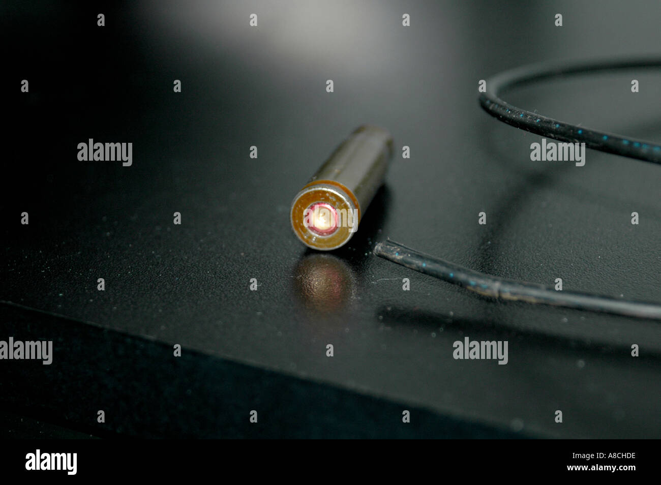 Shell examining with optical fiber light at crime scene Stock Photo - Alamy