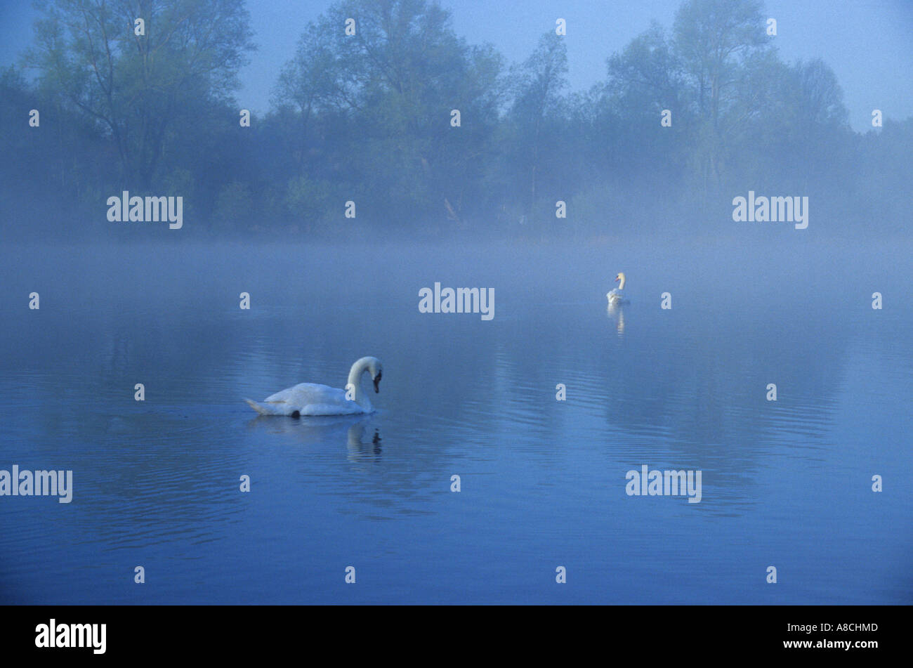 Uea lake hi-res stock photography and images - Alamy