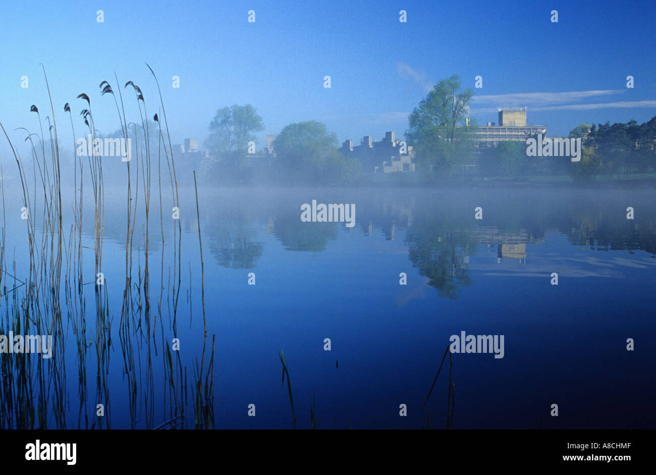 University of East Anglia Lake UEA Norwich Stock Photo - Alamy